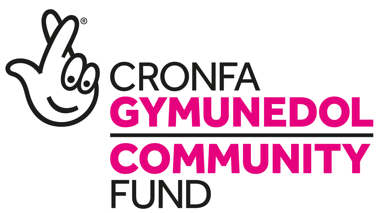 National Lottery Community Fund 'Well-Being Matters' Launch - NEWCIS